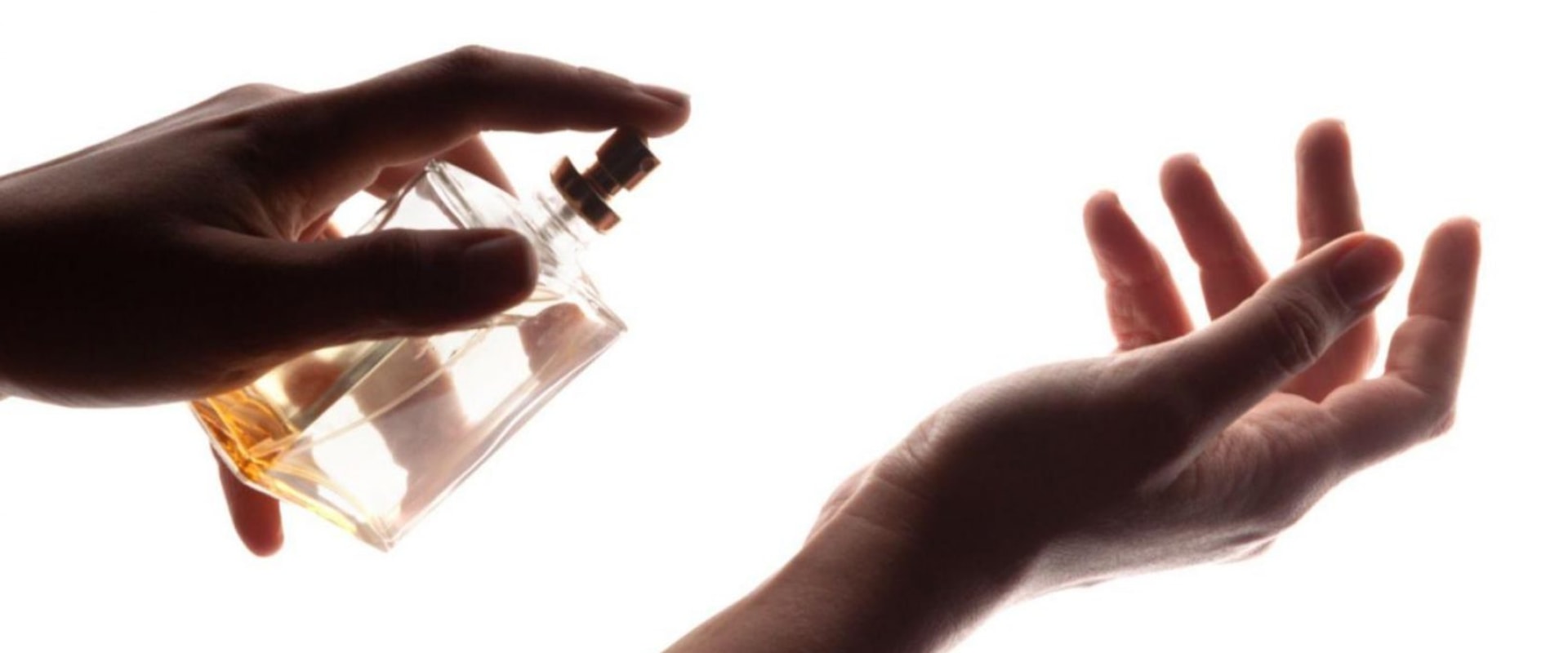 Everything You Need to Know About Buying Travel Size Perfumes